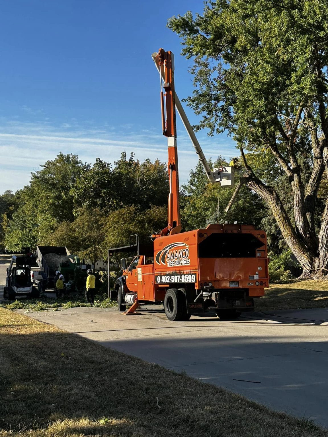 Home - Amanco Tree Services - Omaha Nebraska